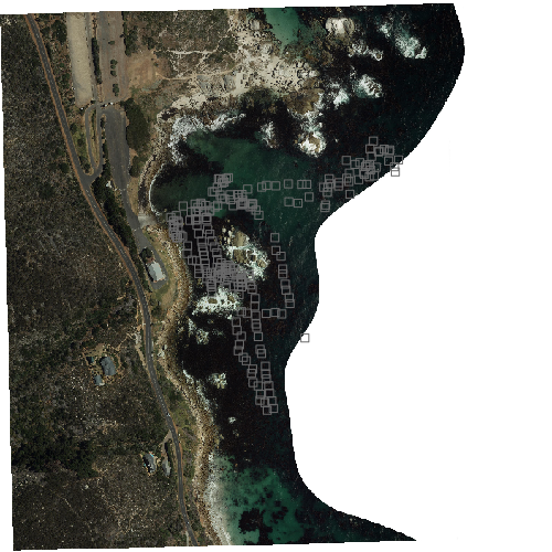 Revisiting the kelp map - Cape RADD