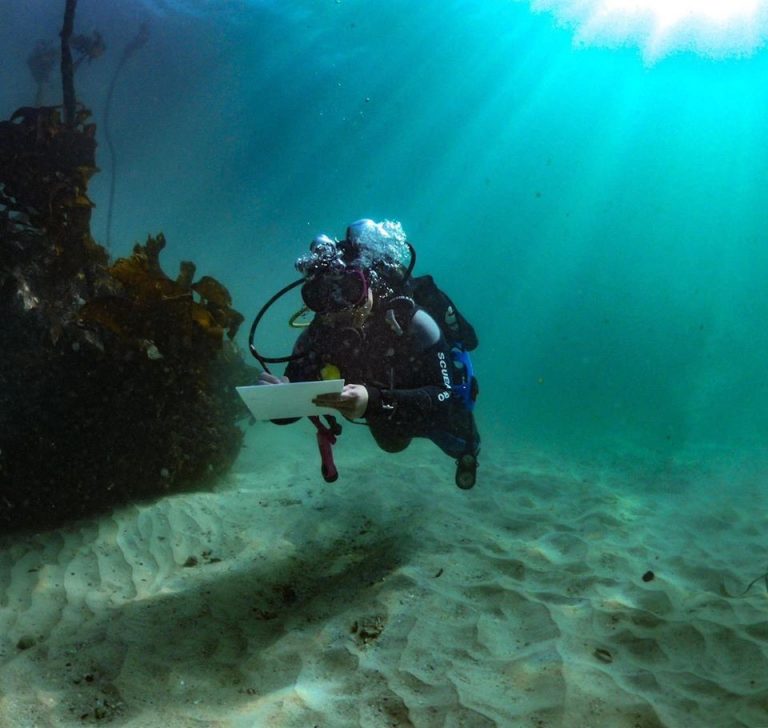 4 ways to develop your marine observation Skills - Cape RADD