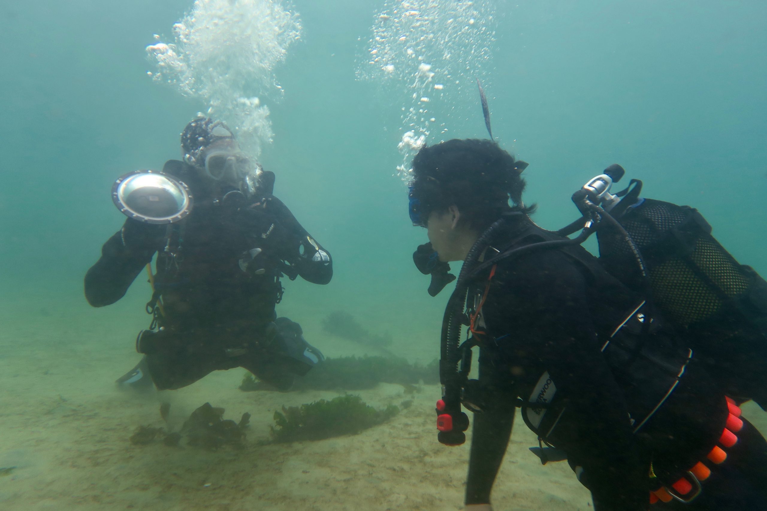 4 Reasons to Join a Marine Conservation Internship - Cape RADD