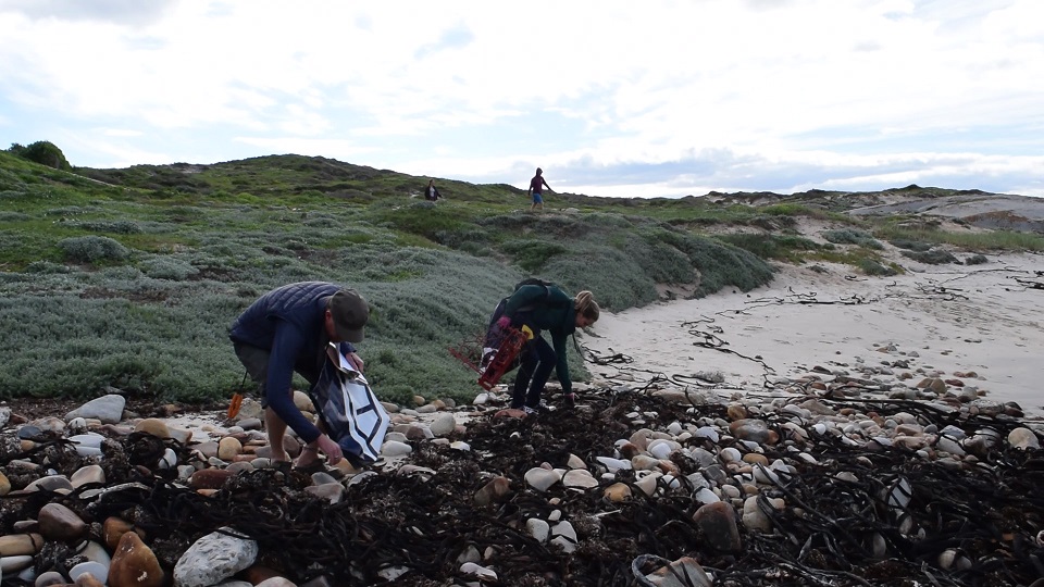 Marine Conservation Volunteer - Cape RADD