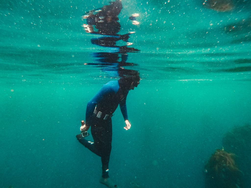 Snorkel for Science - Cape RADD