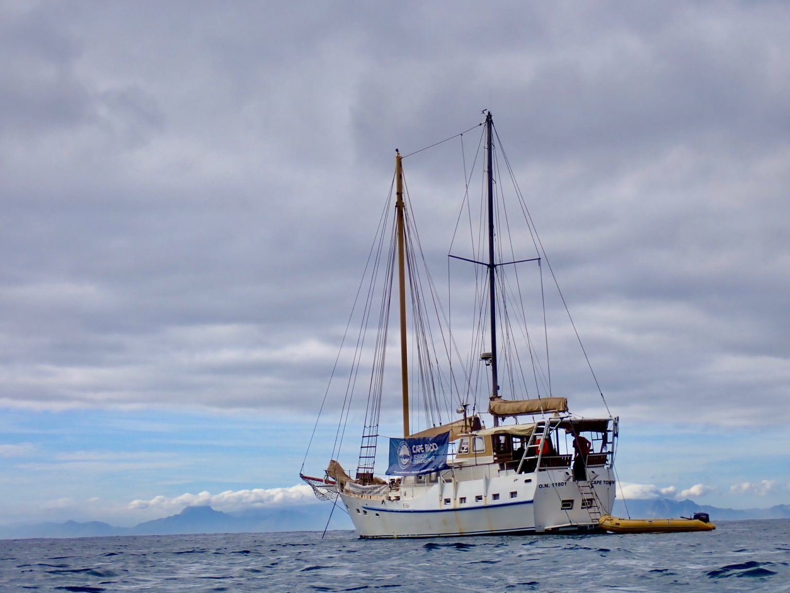 'Cape RADD has a beautiful combination of professionalism and ...