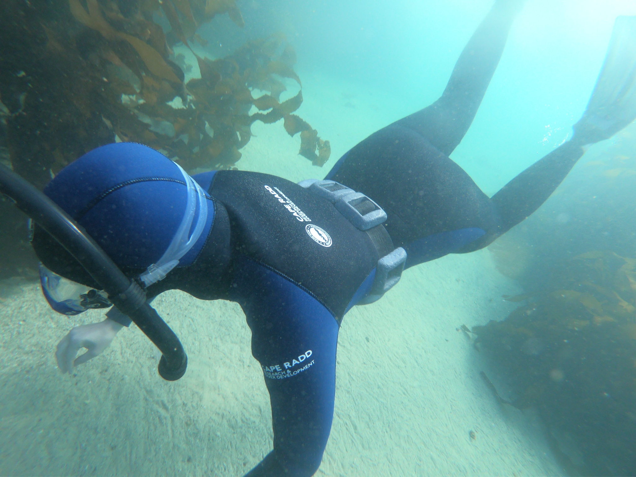 Behind the Scenes: The Perspective of a Cape RADD Field Student - Cape RADD