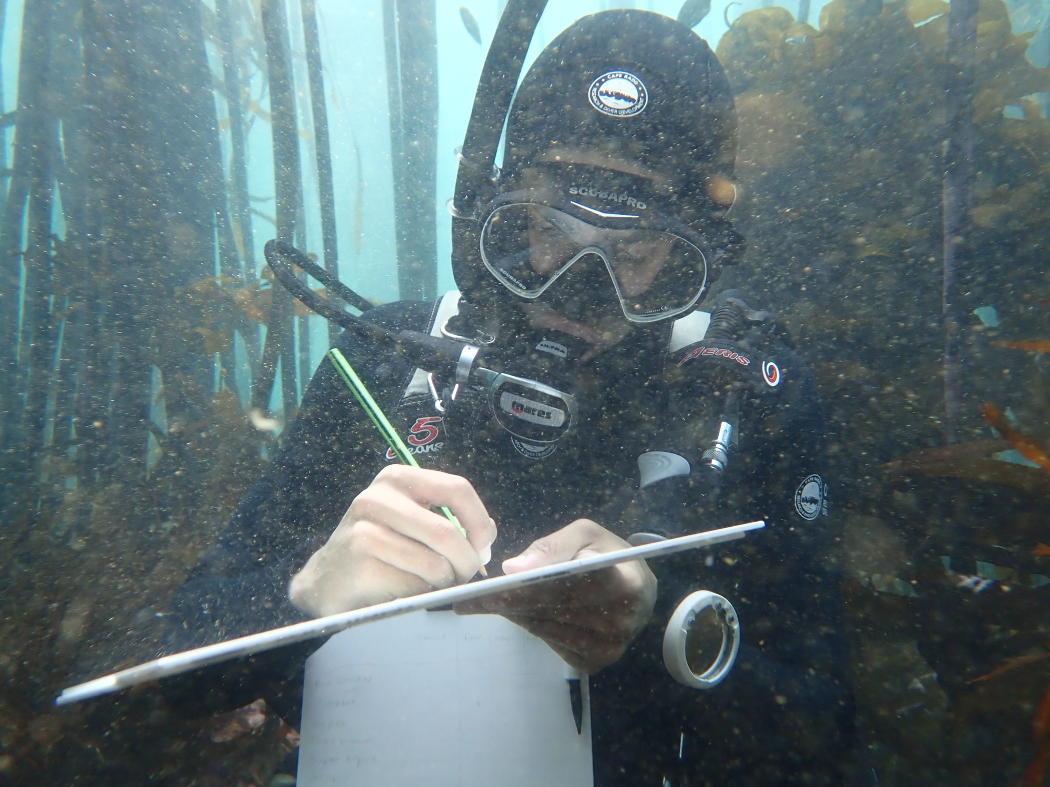 Snorkel for Science - Cape RADD