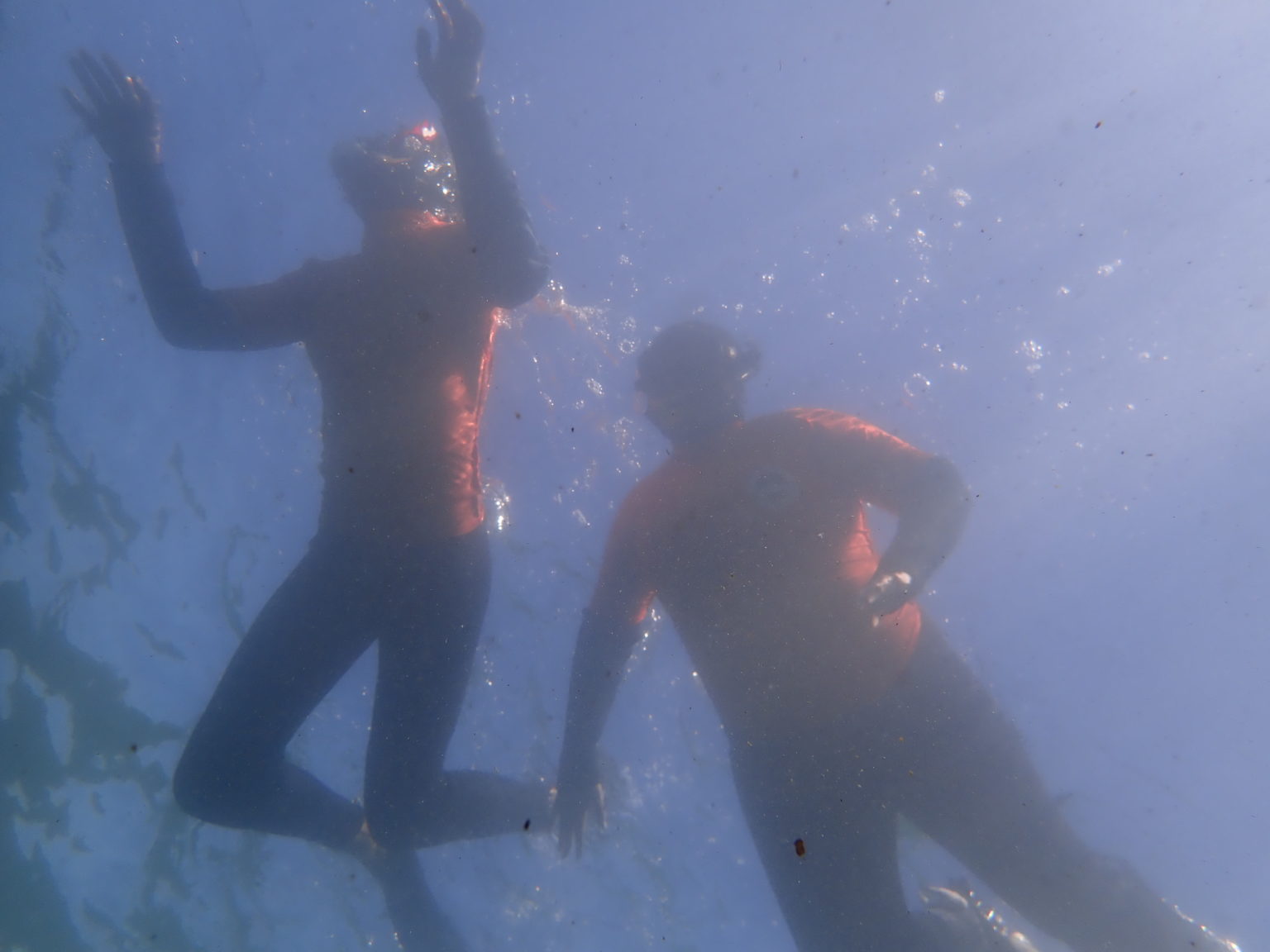 Marine Protected Areas Day 2024 - Cape RADD