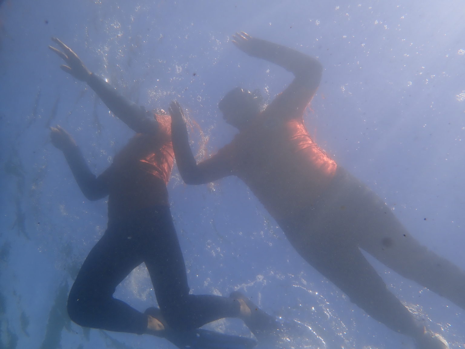 Marine Protected Areas Day 2024 - Cape RADD