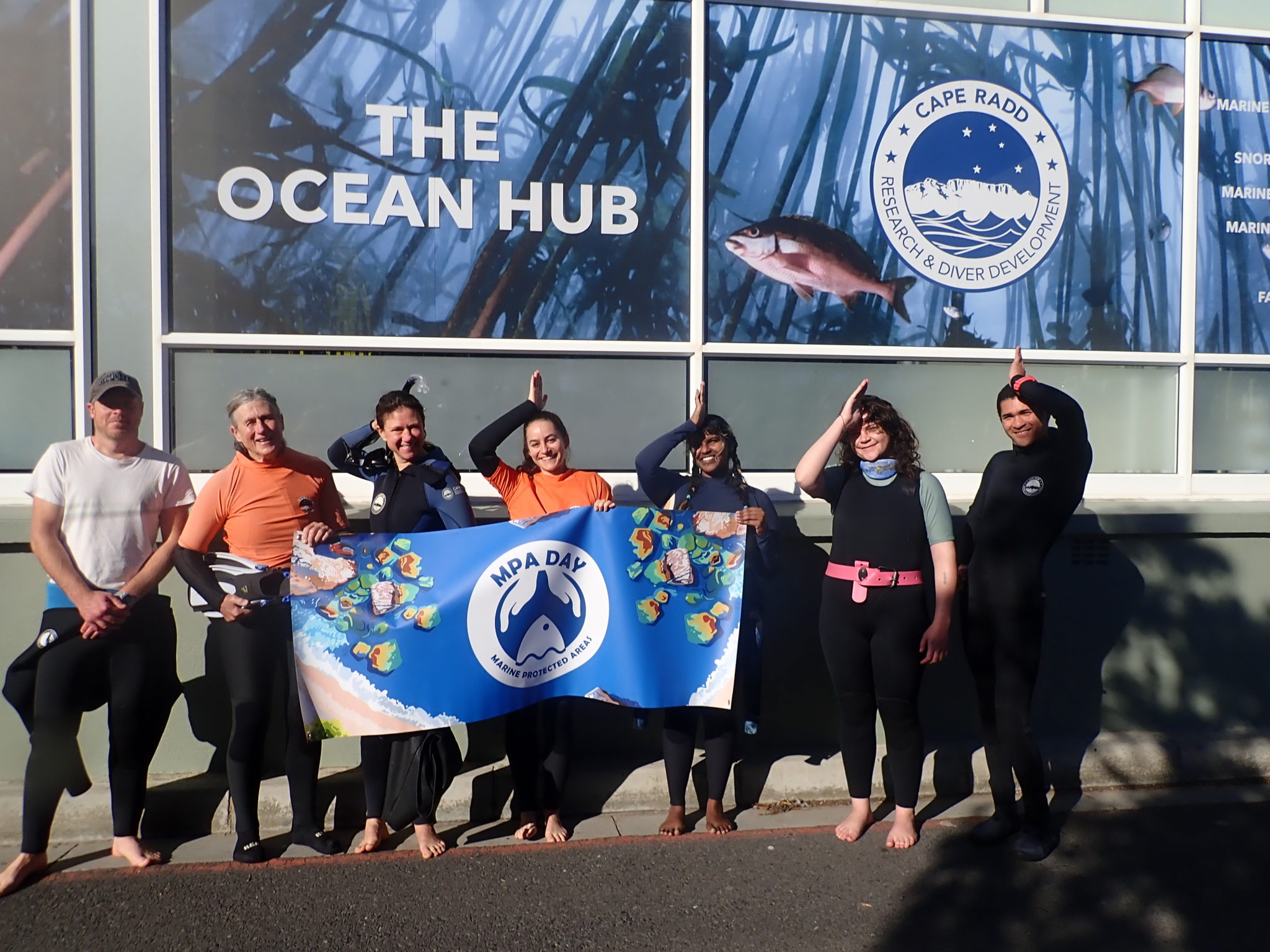 Rabies in Cape Fur Seals: What It Means for Cape Town’s Coast - Cape RADD