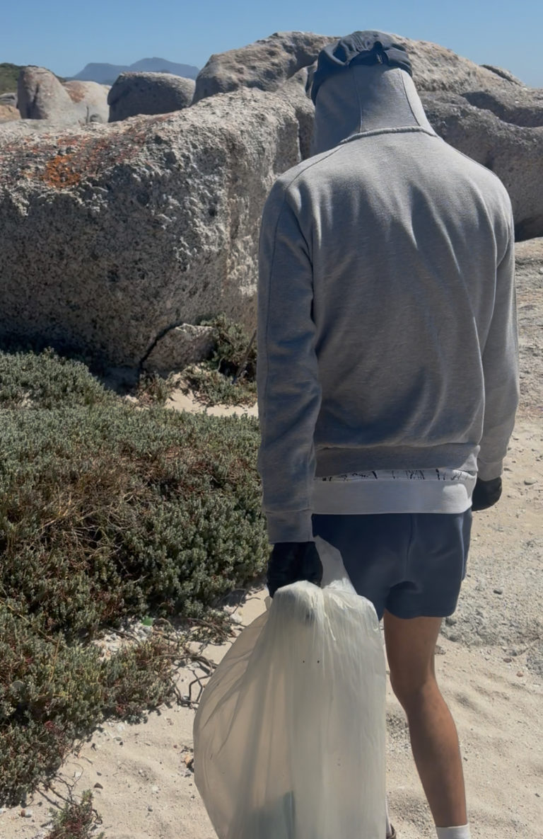 My experience adding data to the shark egg case predation project ...